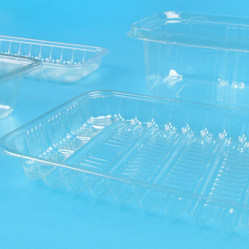 Transparent Plastic Food Tray Disposable