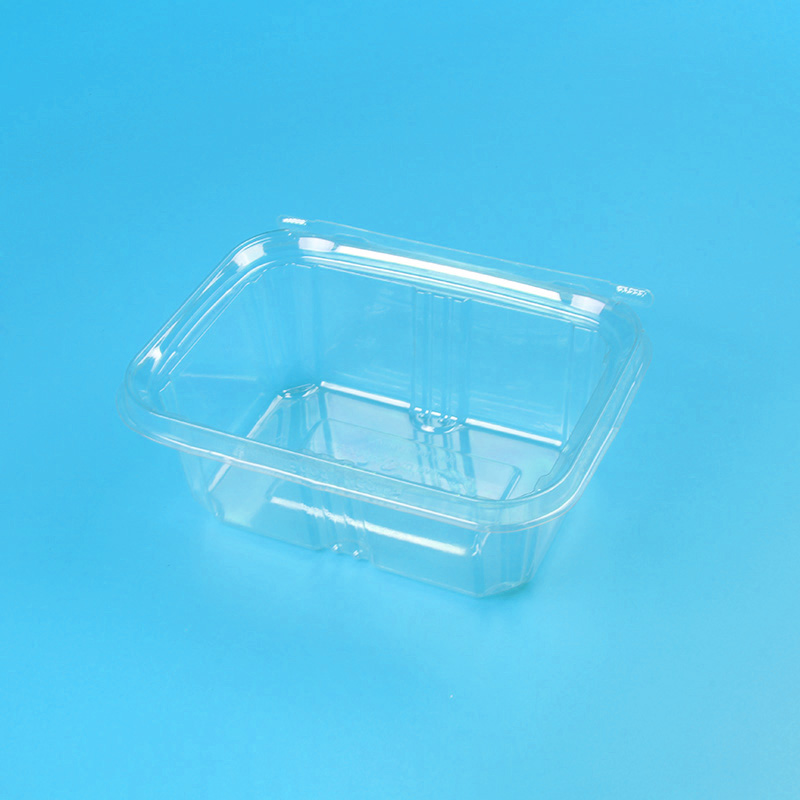 Transparent Plastic Food Tray Disposable